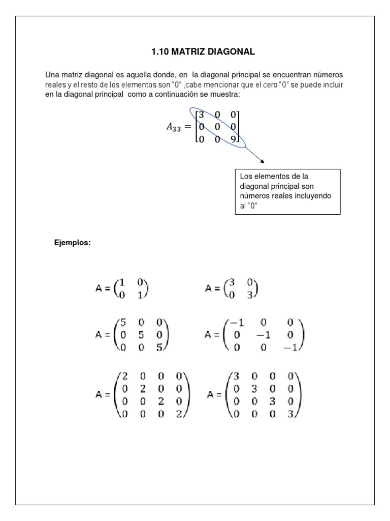 1.10 Matriz Diagonal | PDF