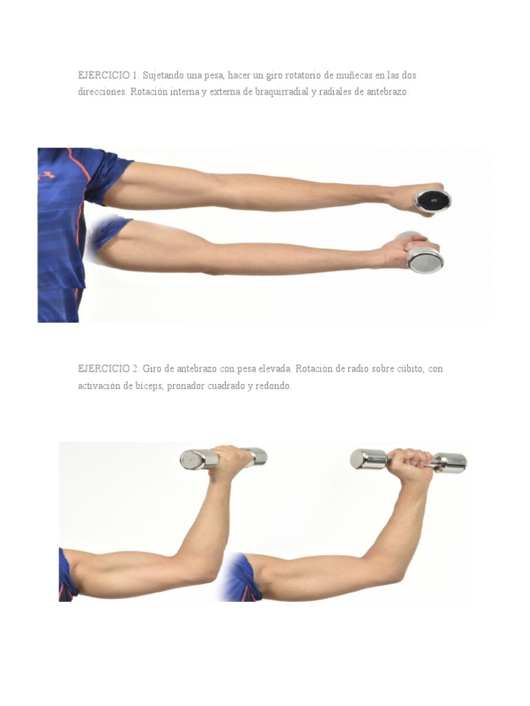 Rehabilitacion Codo | PDF | Codo | Sistema musculoesquelético