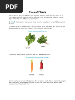 Importance and Uses of Plants for Grade 3 | PDF