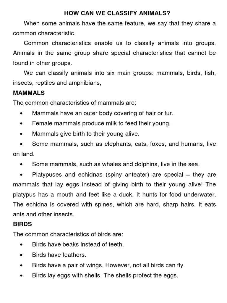 How Can We Classify Animals | PDF | Amphibian | Egg