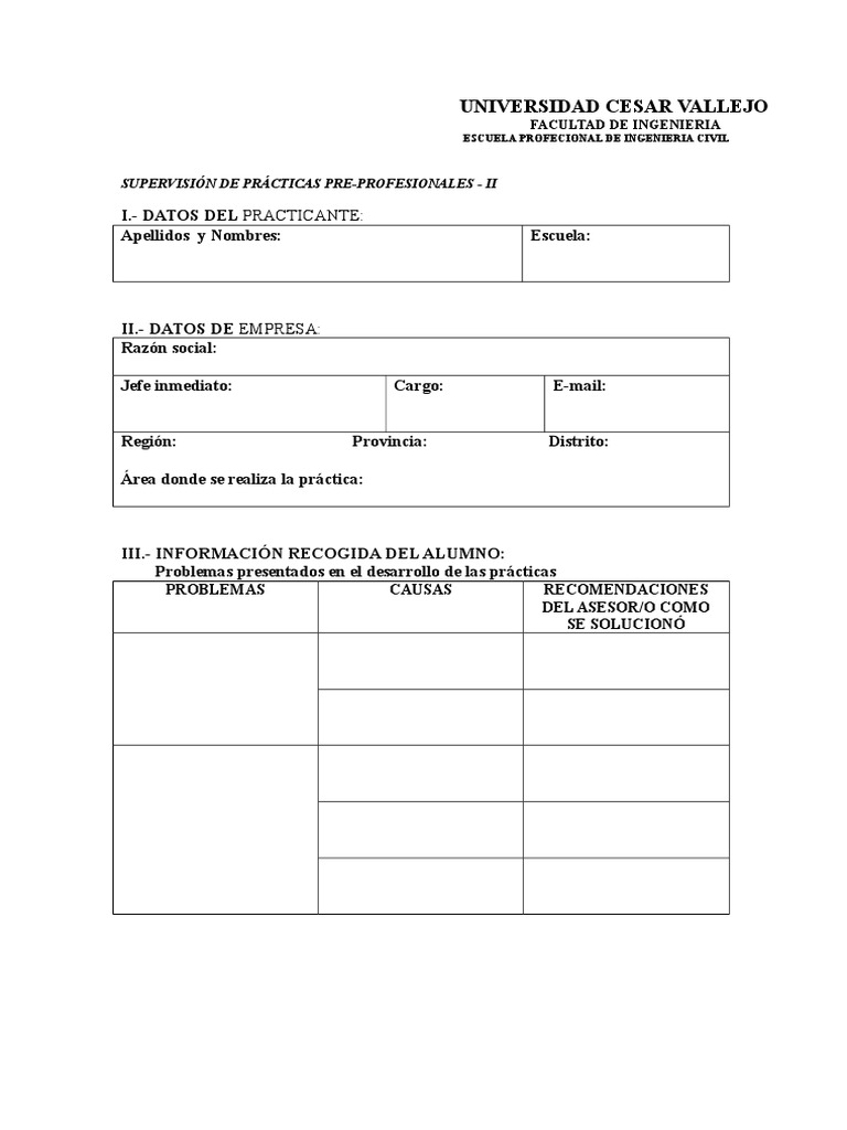 Formato de Practicas | PDF | Ingeniería | Informática y tecnología de la información
