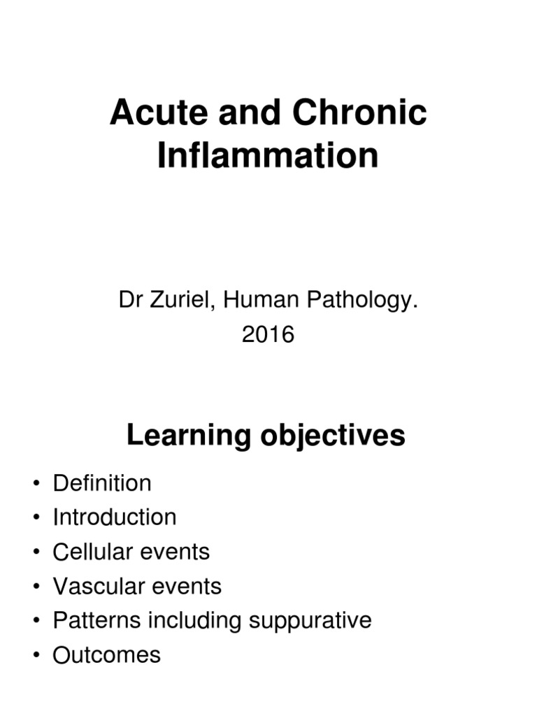 Acute Inflammation | PDF | Macrophage | Inflammation