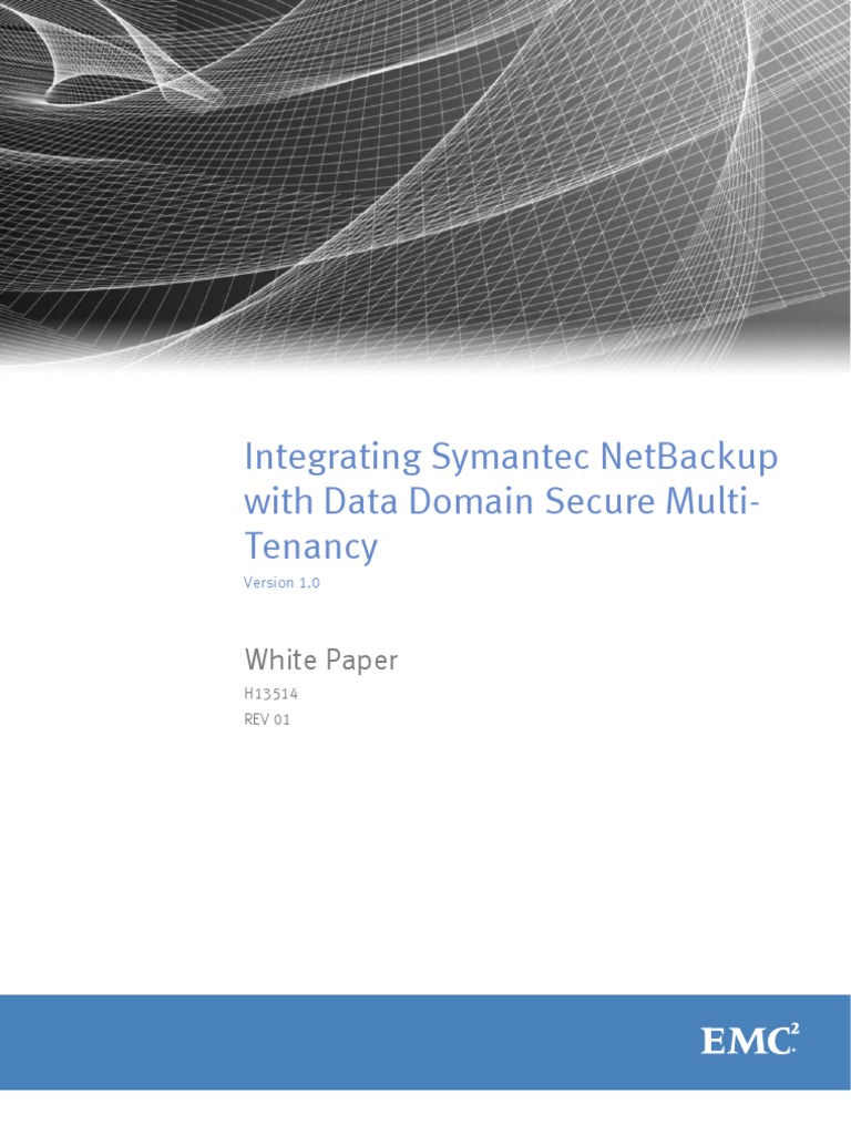 h13514 Integrating Symantec Netbackup Data Domain Secure Multi Tenancy ...