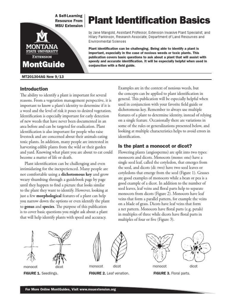 Plant Identification Basics | Leaf | Petal