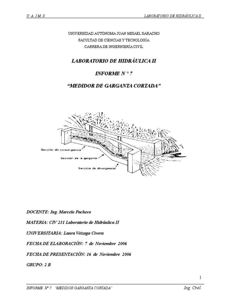 Garganta Cortada Laura | PDF | Calibración | Medición