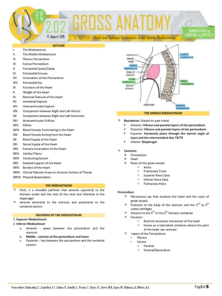 2.02 Gross Anatomy Trans - Heart | PDF | Heart Valve | Aorta