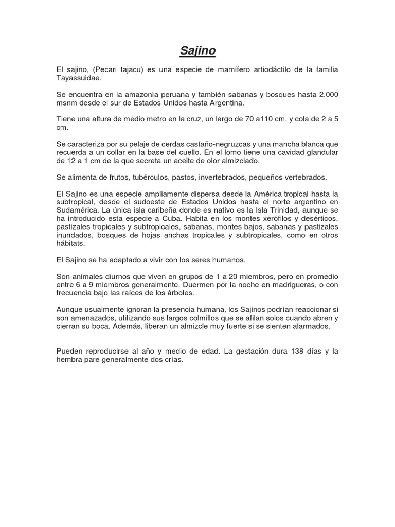 Características del Sajino en América | PDF | Hogar, jardinería y bricolaje
