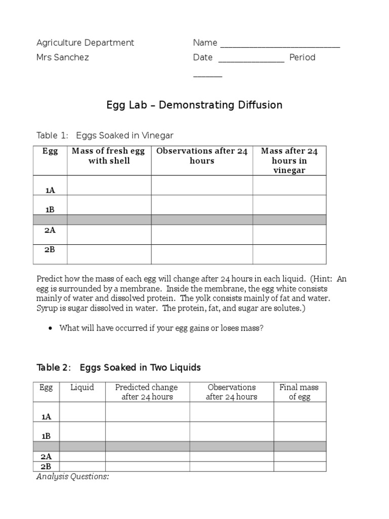 Egg Lab Student Handout | PDF