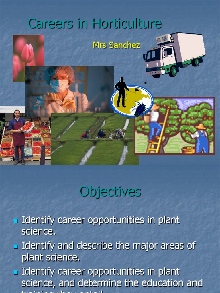 Careers in Hort | PDF | Greenhouse | Plants