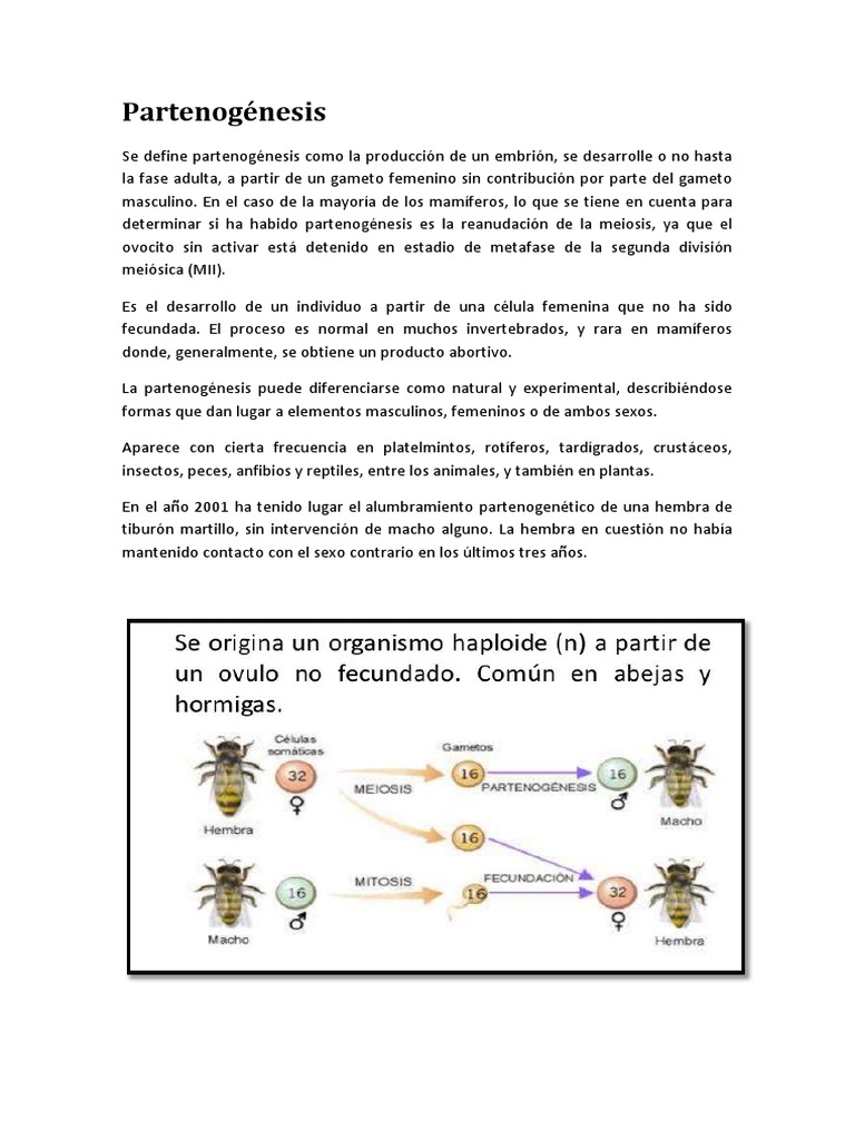 Partenogenesis y Gynogenesis | PDF | Sexo | Reproducción
