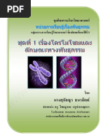 แนวข้อสอบวิทยาศาสตร์ MWIT ม4 2024 (2567) ชุดที่1 | PDF