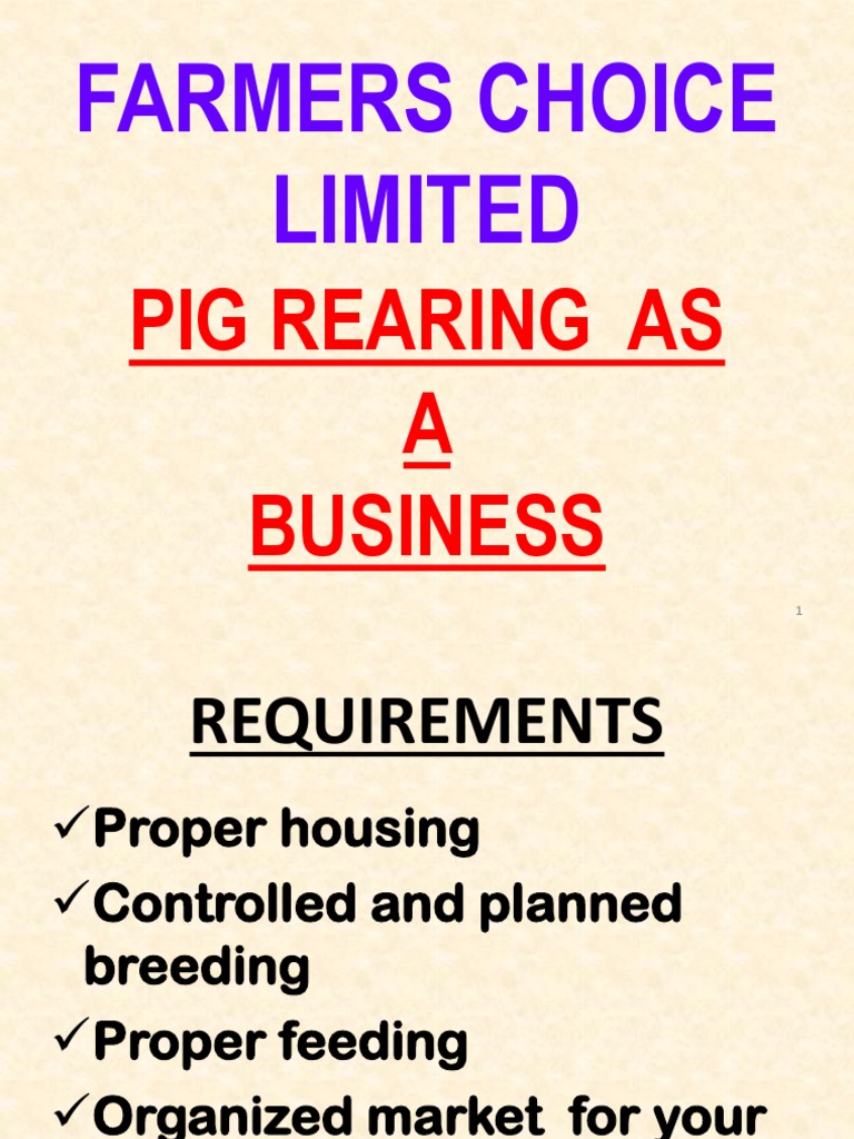 Pig Rearing As A Business | PDF | Domestic Pig | Animals And Humans