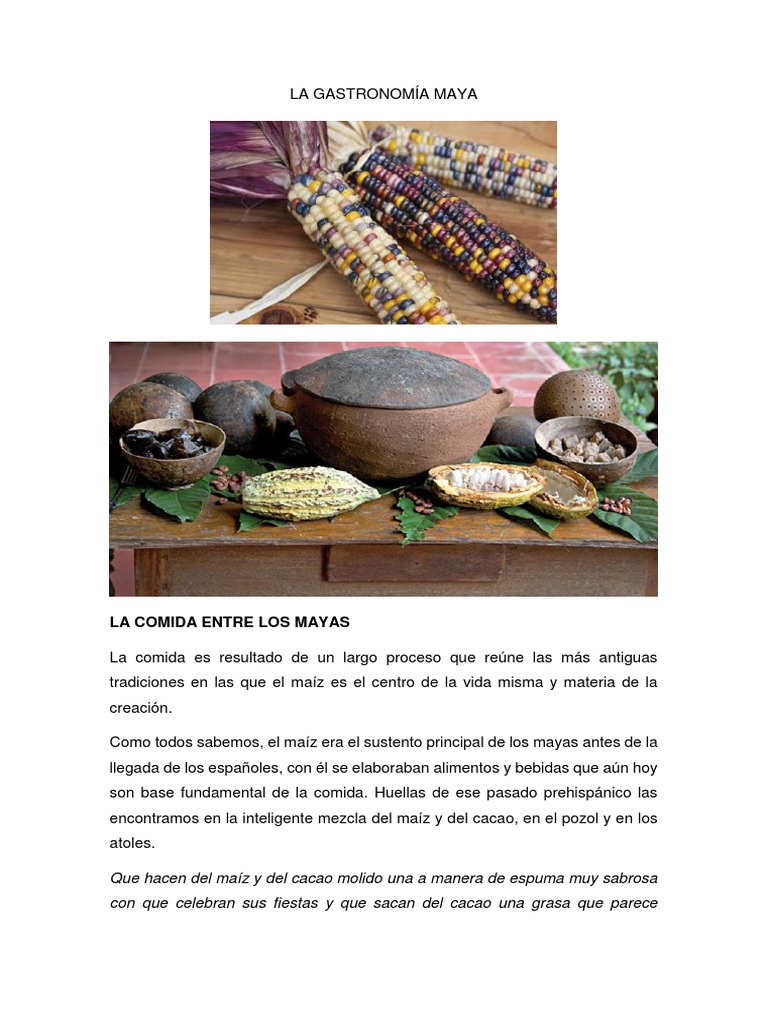 Gastronomía maya: el maíz como base de la alimentación maya | PDF ...