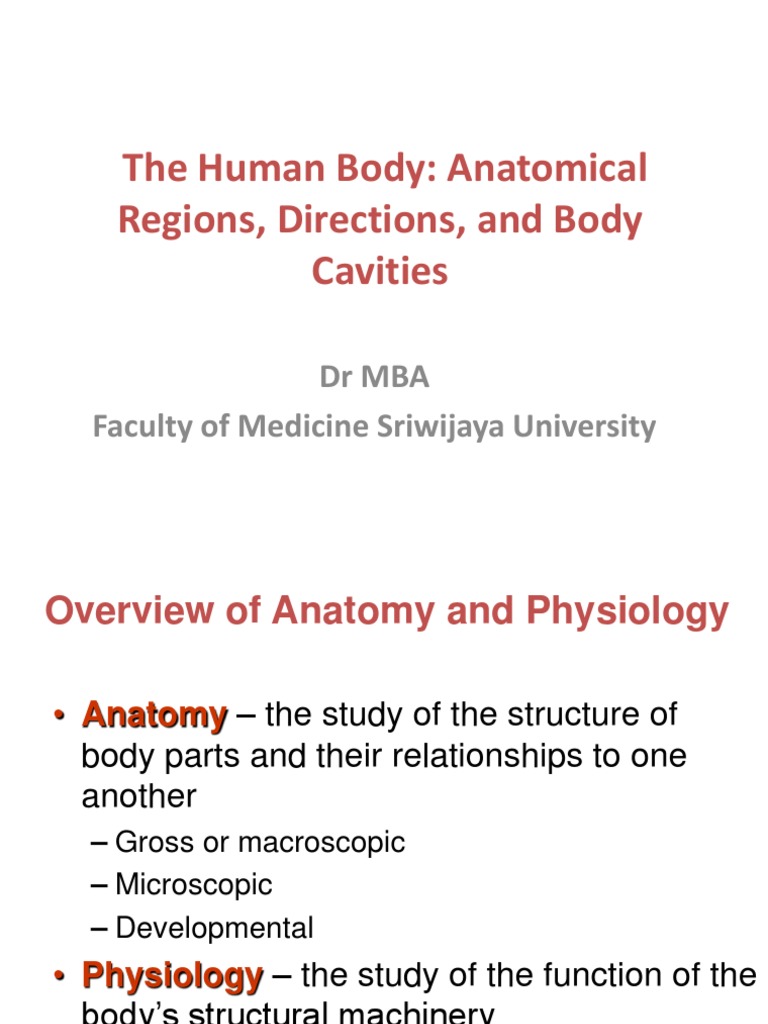 The Human Body: Anatomical Regions, Directions, and Body Cavities | PDF ...