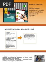Triptico Nom 019 | PDF | Ciencias de la Salud