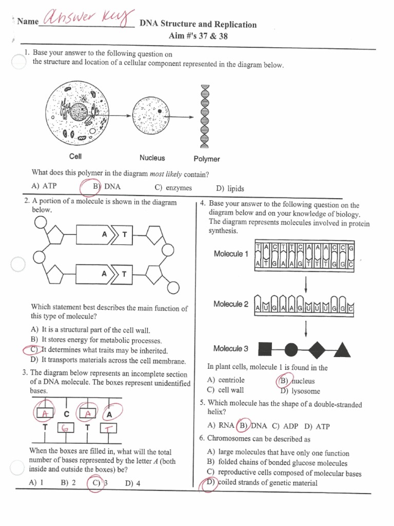 Answer Keys To Practice Questions | PDF