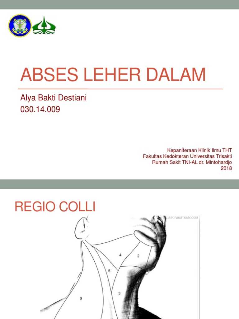 Abses Leher Dalam PPT Review | PDF