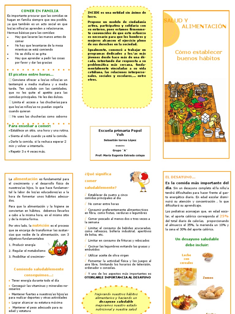 Triptico Salud y Alimentacion | PDF | Alimentos | Nutrición