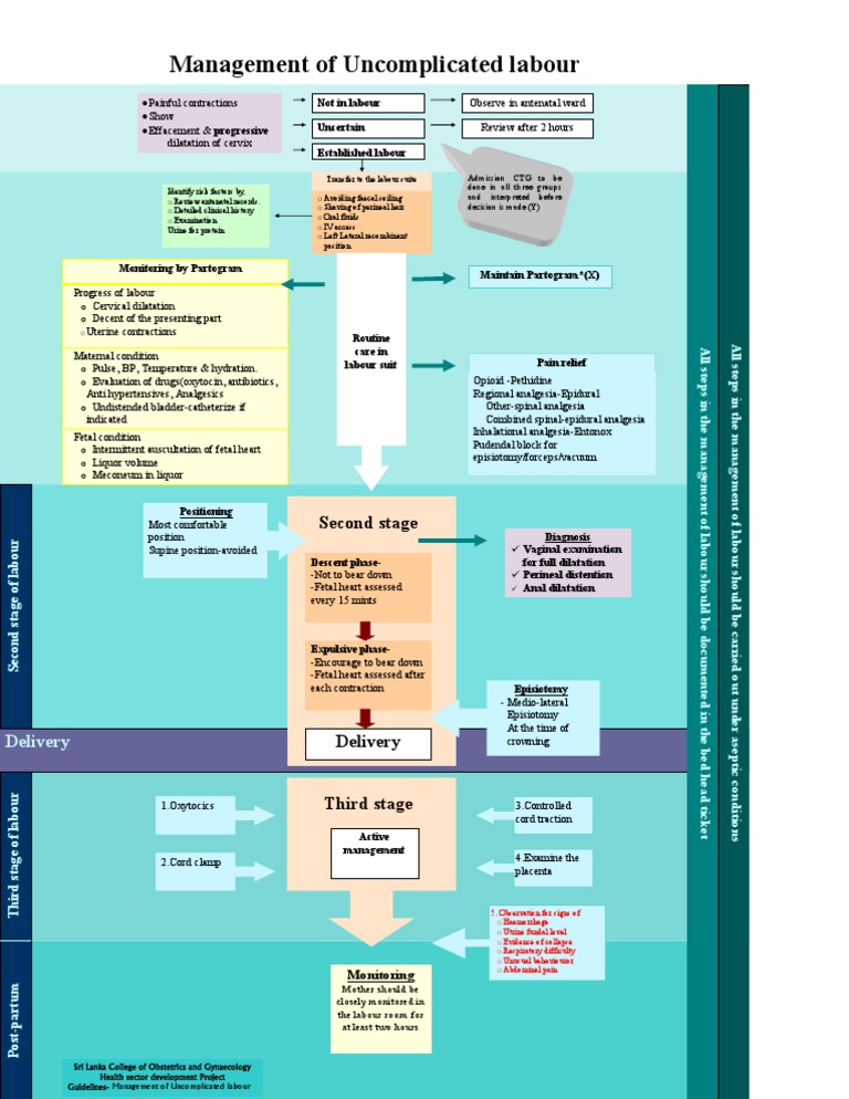 Management of Normal Labour Chart | PDF | Childbirth | Human Pregnancy