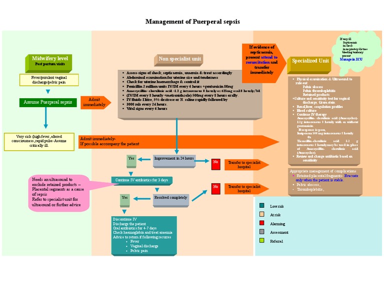 Puerperal Sepsis | PDF | Sepsis | Intravenous Therapy