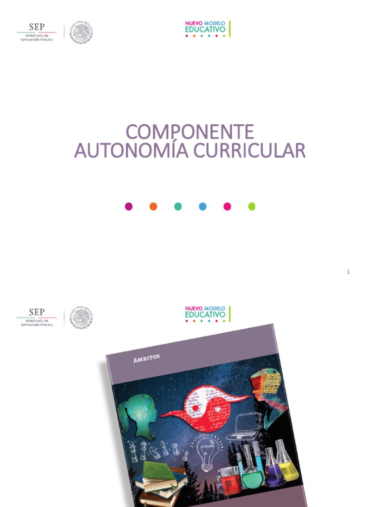 Autonomía Curricular en Educación Básica | PDF | Educación primaria ...