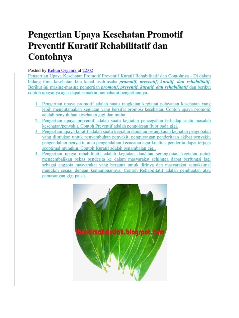 Pengertian Upaya Kesehatan Promotif Preventif Kuratif Rehabilitatif Dan ...