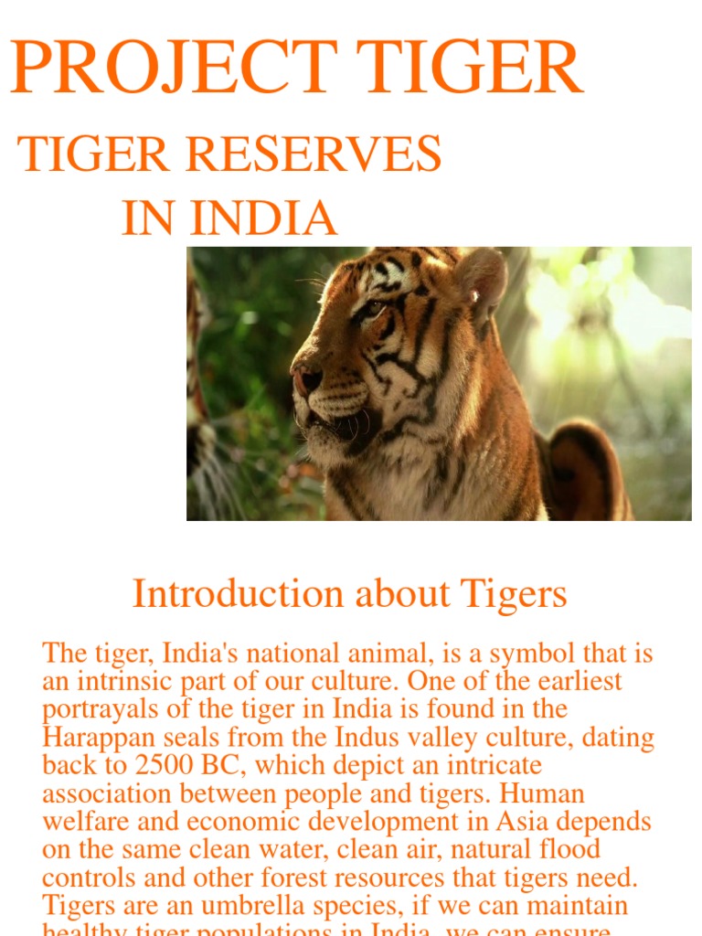 Project Tiger: Tiger Reserves in India | PDF | Tiger | Habitat