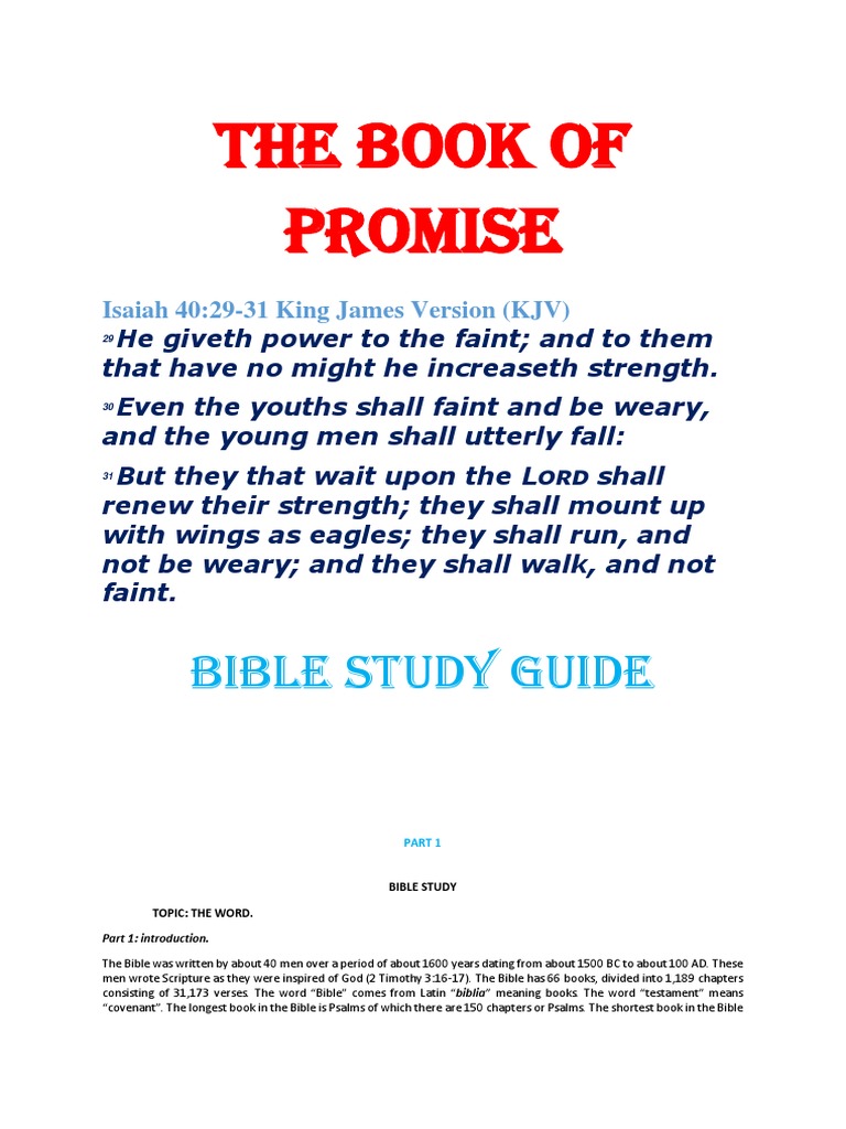 The Book of Promise | PDF | Biblical Inerrancy | God In Christianity
