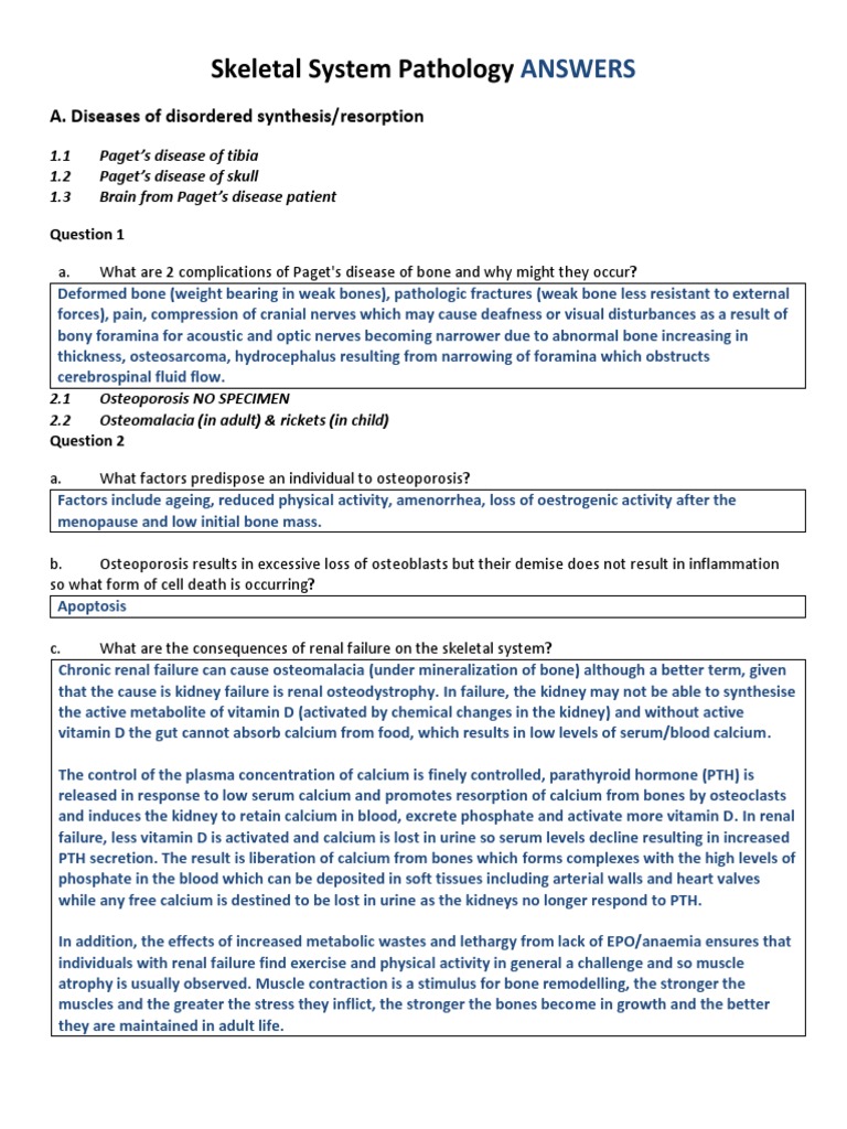 Skeletal Pathology Q&A Guide | PDF | Bone | Arthritis