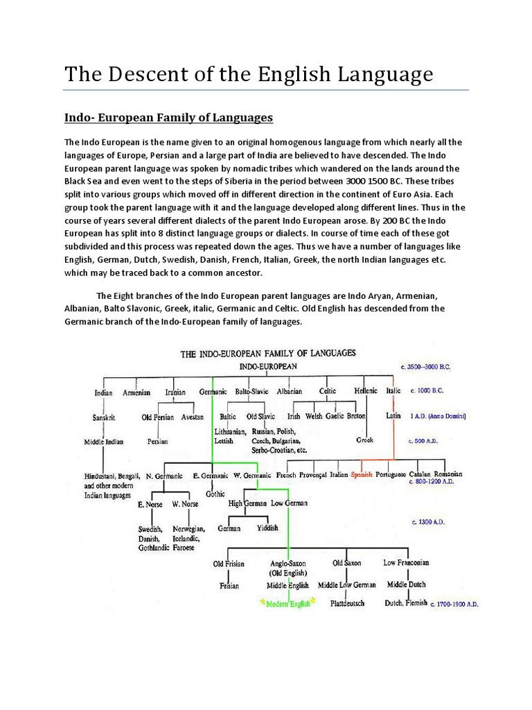 Evolution of the English Language | PDF | English Language | Languages