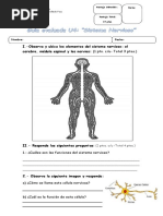 Sopa de Letras Sistema Nervioso | Neuroanatomía | Sistema nervioso