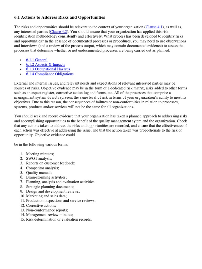 Actions To Address Risks and Opportunities | PDF