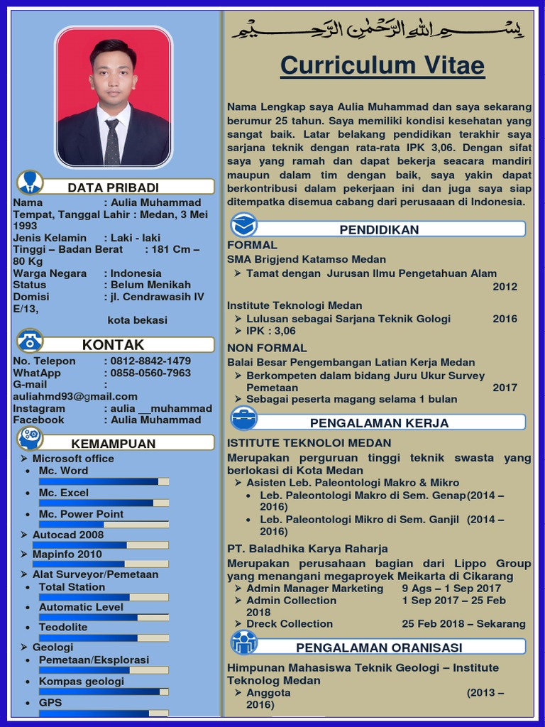CV Aulia PDF | PDF