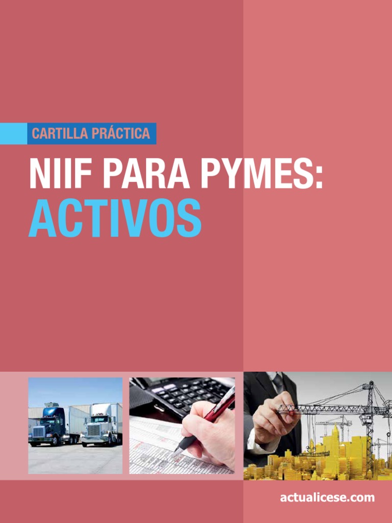 NIIF-para-PYMES-ACTIVOS.pdf | normas internacionales de INFORMACION ...