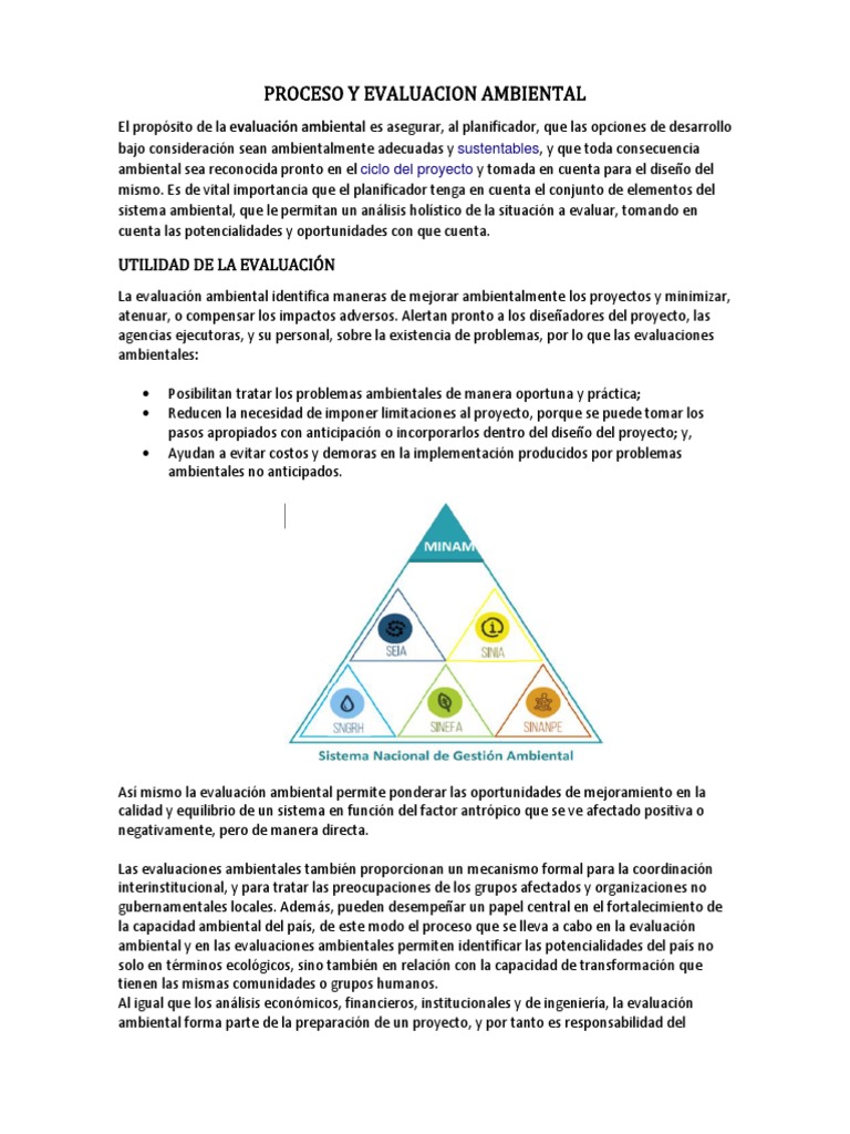 Proceso y Evaluacion Ambiental | PDF | Evaluación de impacto ambiental ...