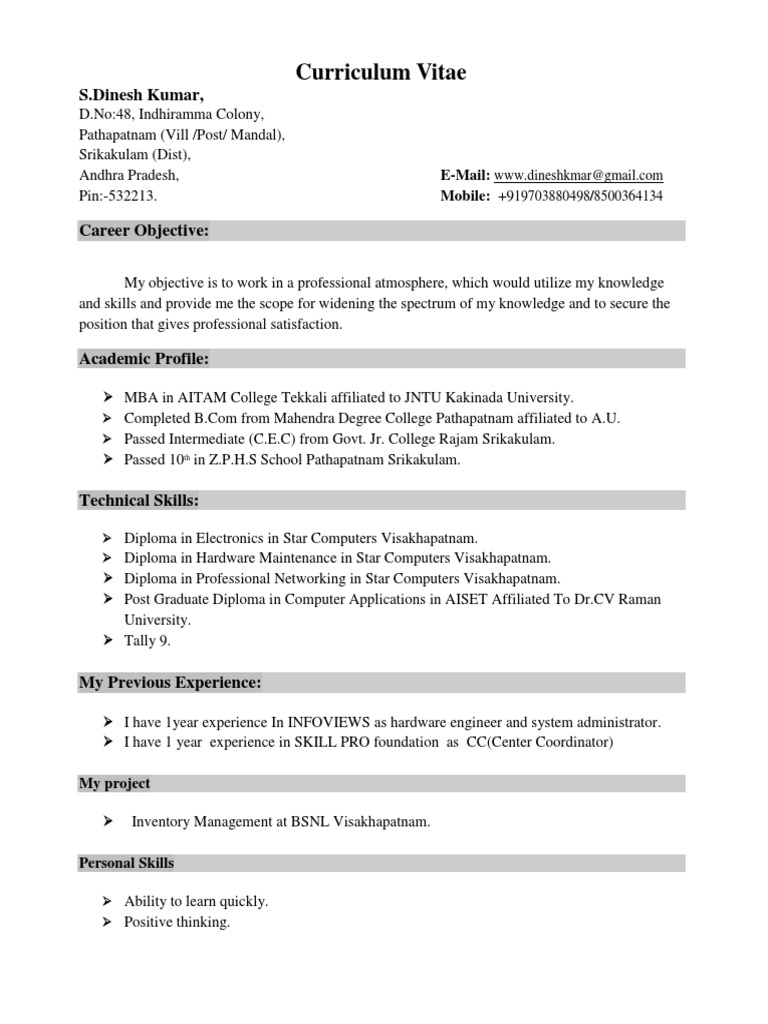 Curriculum Vitae: S.Dinesh Kumar | PDF