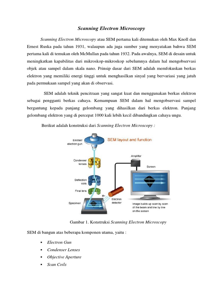 Scanning Electron Micros | PDF