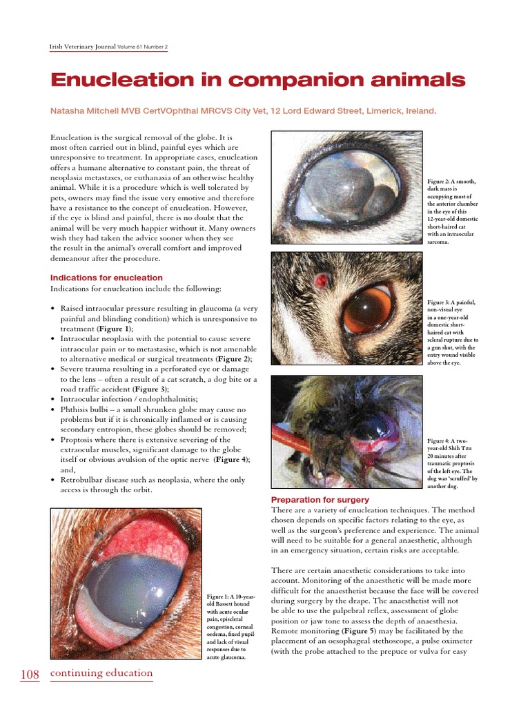 Enucleation Techniques in Dogs | PDF | Ophthalmology | Medical Specialties