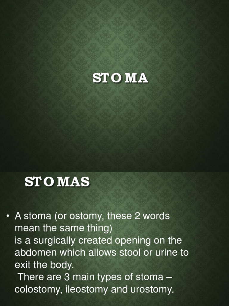 Stoma | PDF | Large Intestine | Surgery