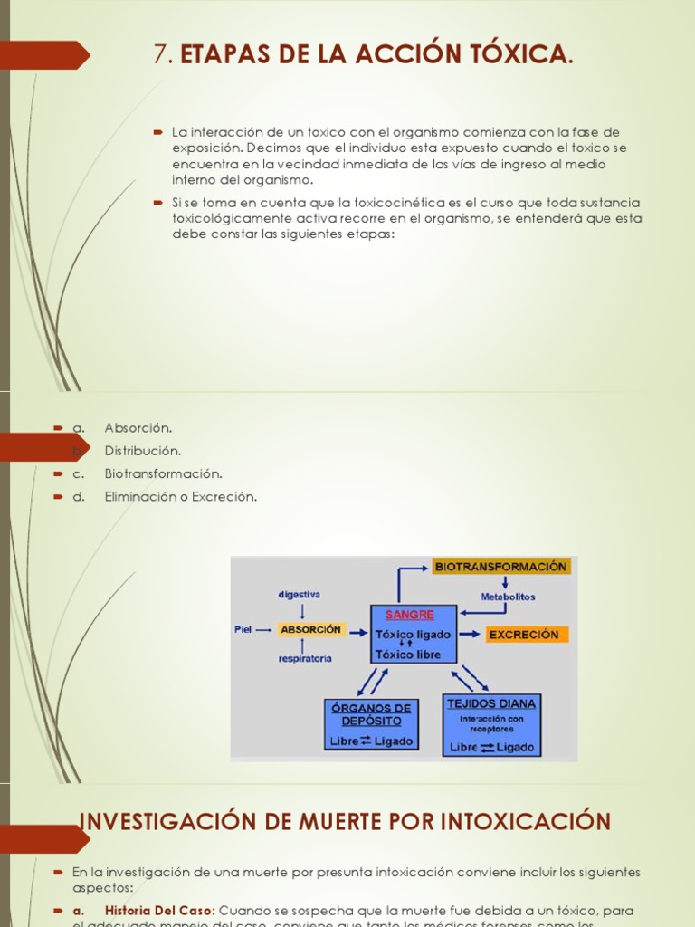 Diapositiva Toxicologia | PDF | Toxicidad | Toxicología
