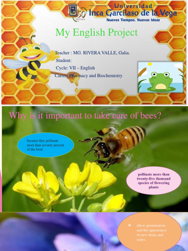 Pro My English Project | PDF | Science & Mathematics