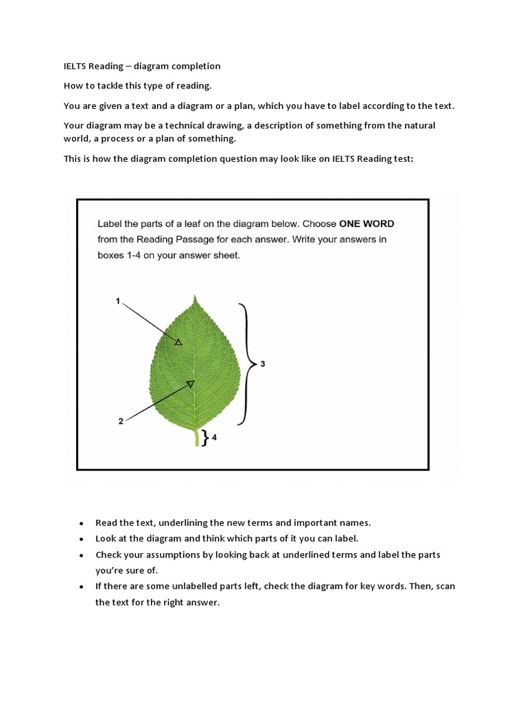 IELTS Diagram Completion Guide: Leaves | PDF