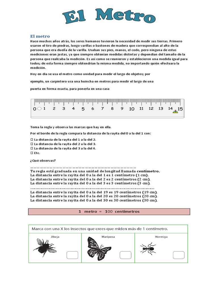 El Metro | PDF