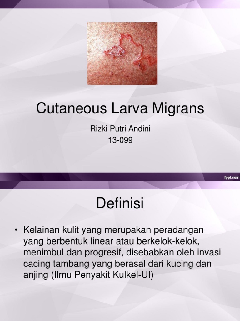 Cutaneous Larva Migrans | PDF
