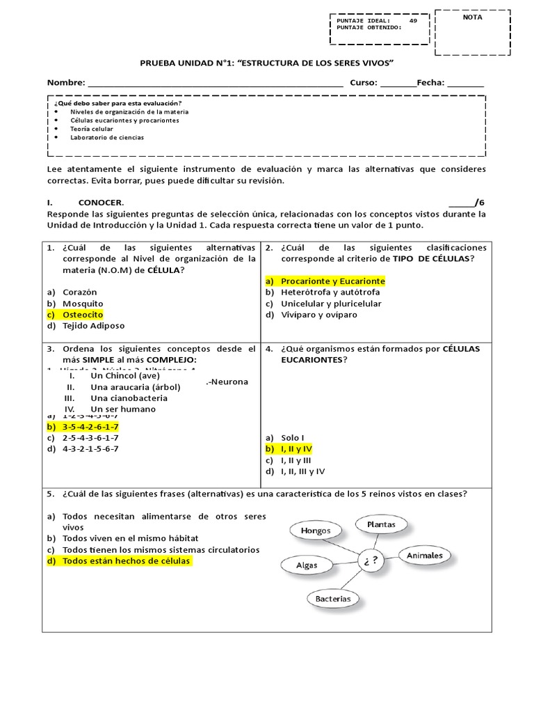 Prueba Estructura de Los Seres Vivos 5to Basico | PDF | Organismos ...