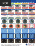 Efron Grading Scale Us Insert