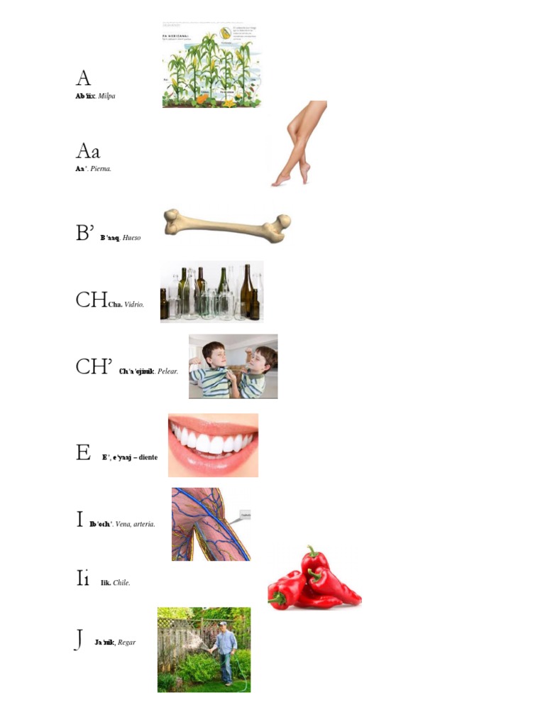 Abecedario en Achi Con Imagenes | PDF