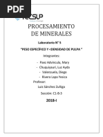 Determinación de Porcentaje de Sólido | PDF | Densidad | Física