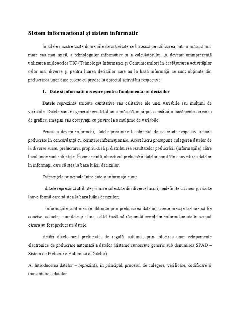 Sistem Informaţional Şi Sistem Informatic | PDF