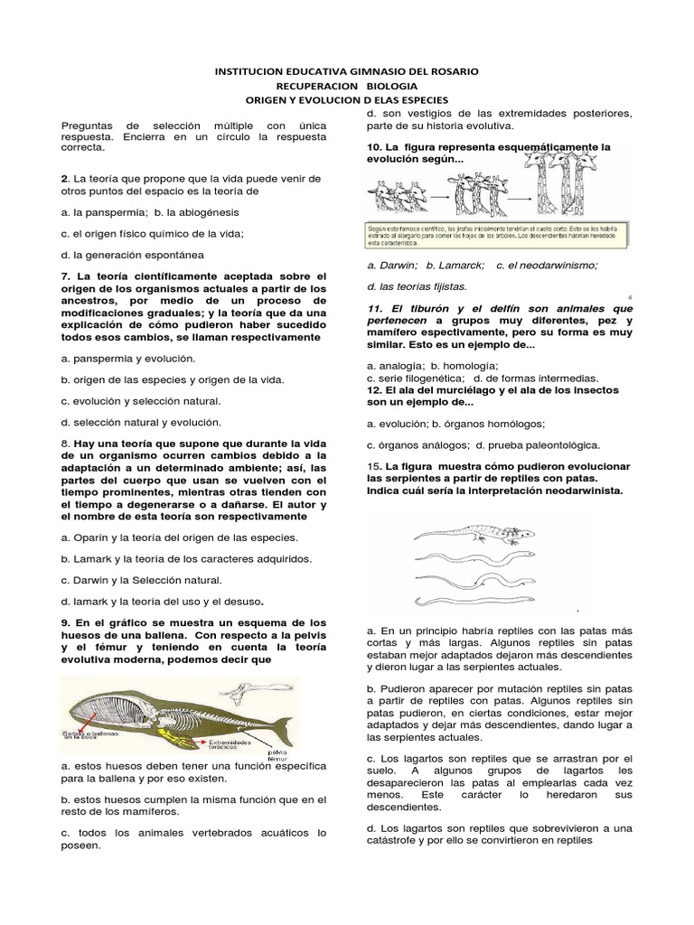 Examen Evolucion | PDF | Evolución | Especies